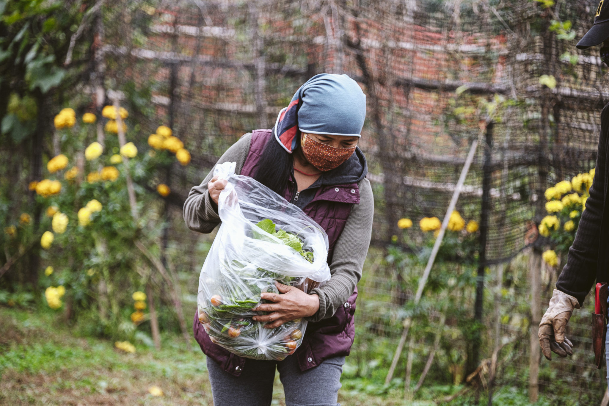 New Roots supports immigrant refugees through its community garden